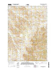 Buy topo map Thompson Creek NW MT, 2014 – YellowMaps Map Store